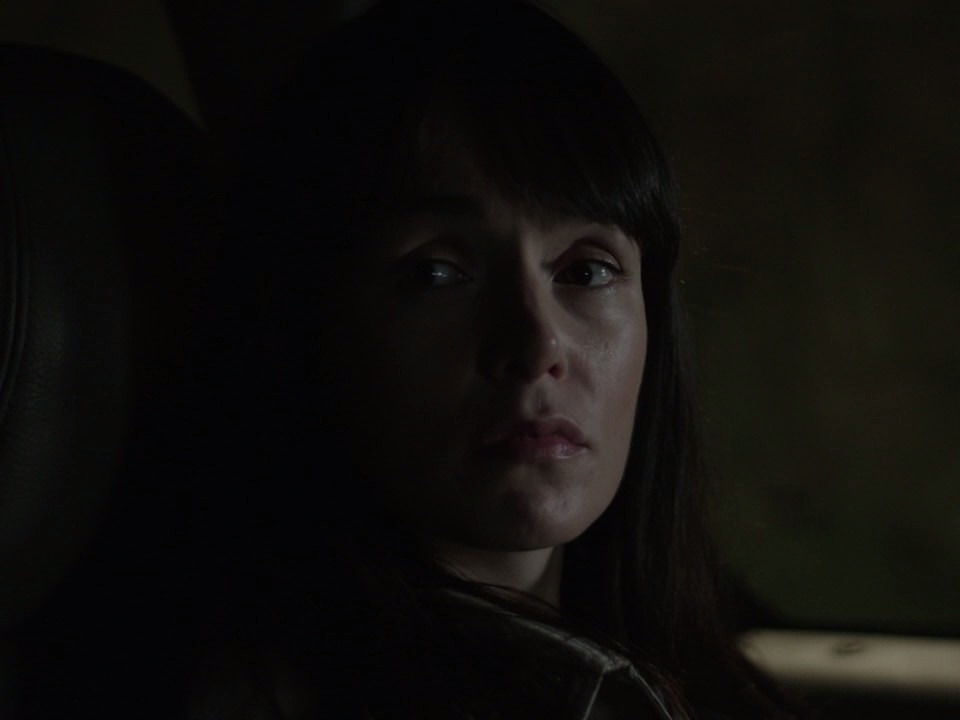 Prime Video: The Fall - Season 2