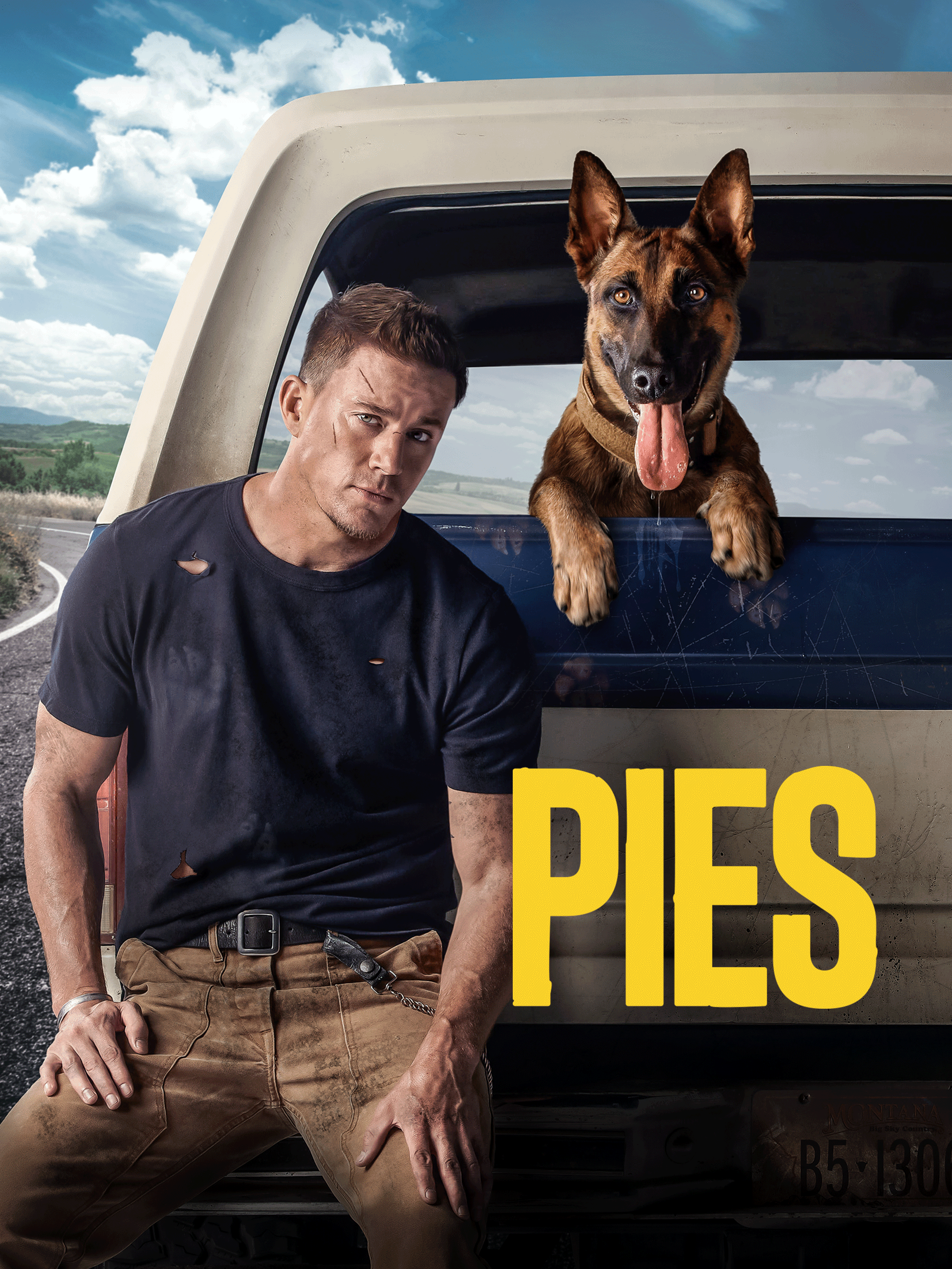 Prime Video: Pies