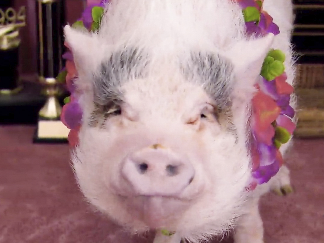 Prime Video: The Cute Ones - Season 1