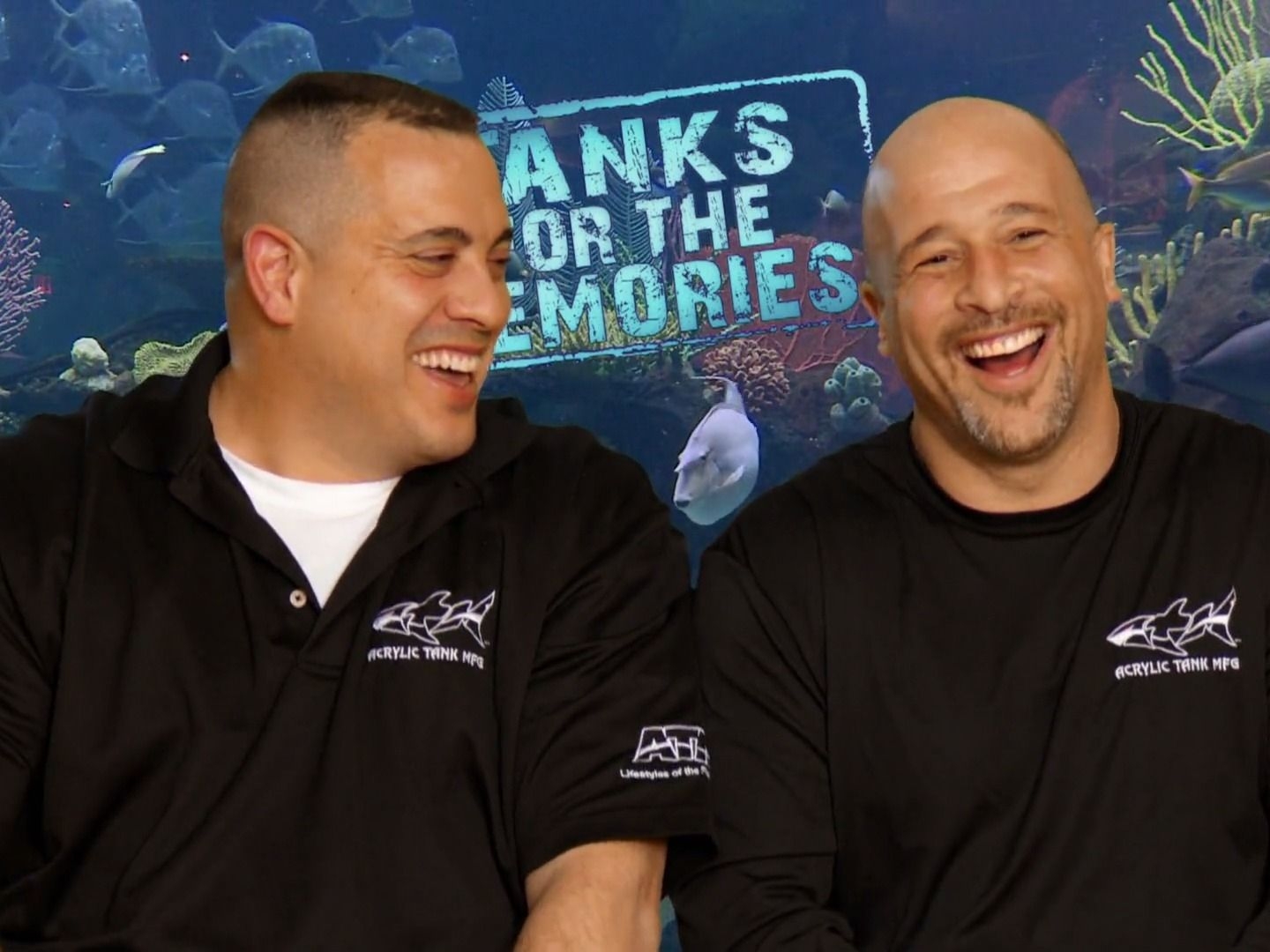 Prime Video: Tanked - Season 2