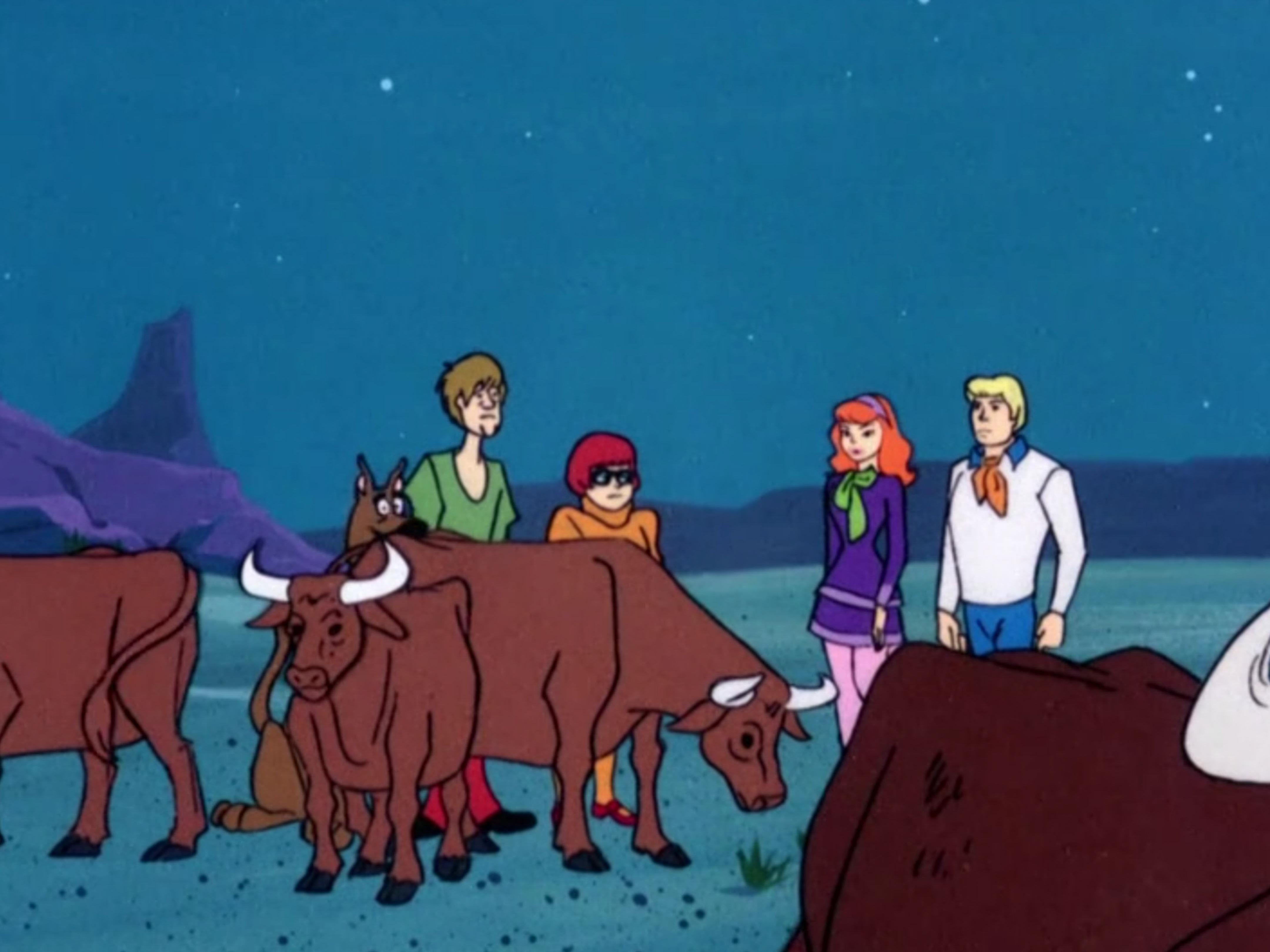 Prime Video: The Scooby-Doo Show - Season 1