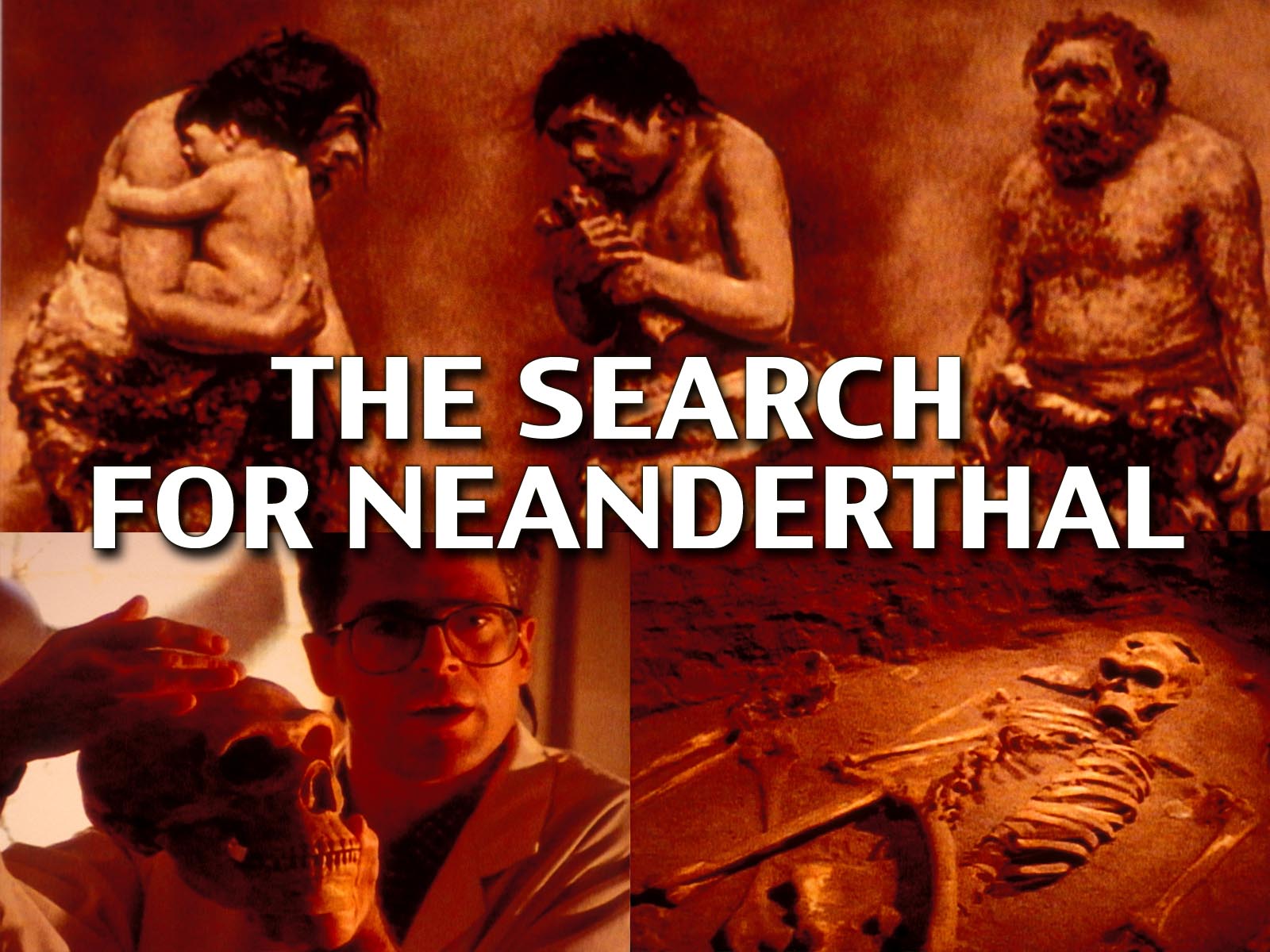 Prime Video: Archaeology