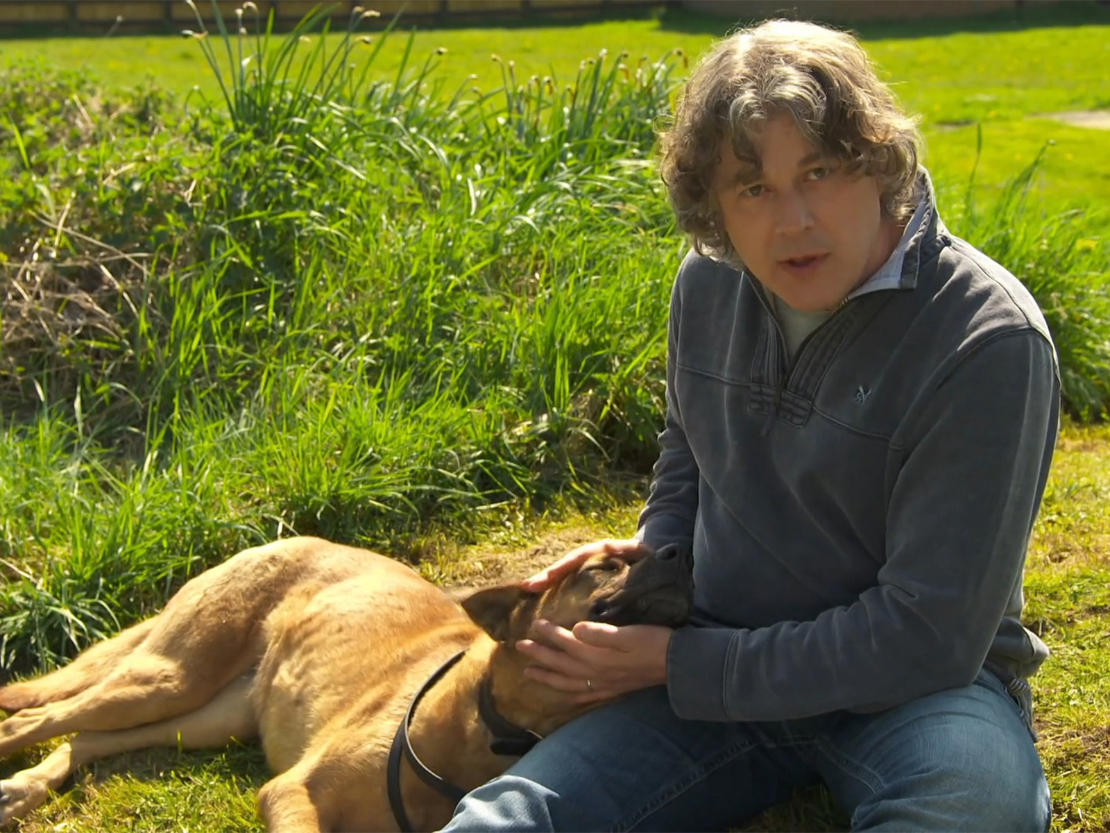 Prime Video: The Dog Rescuers