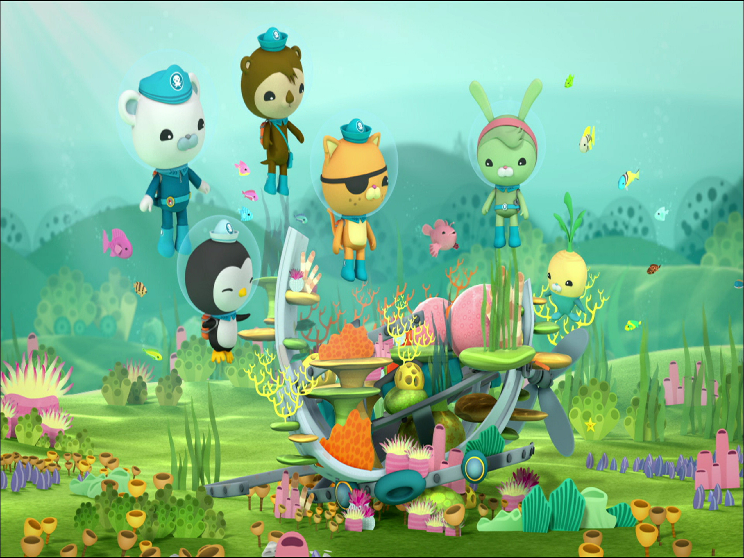 Prime Video: Les Octonauts - saison 3