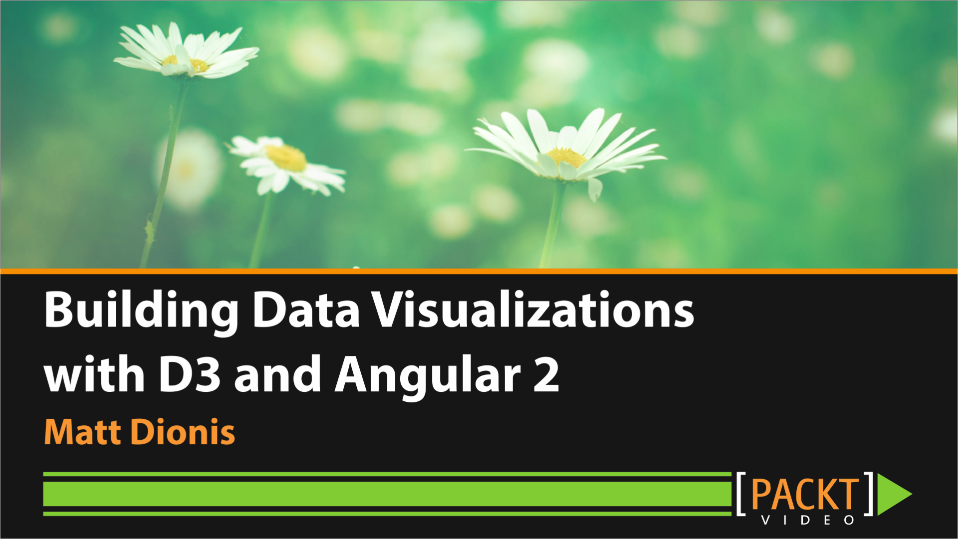 Watch Building Data Visualizations with D3 and Angular 2 | Prime Video