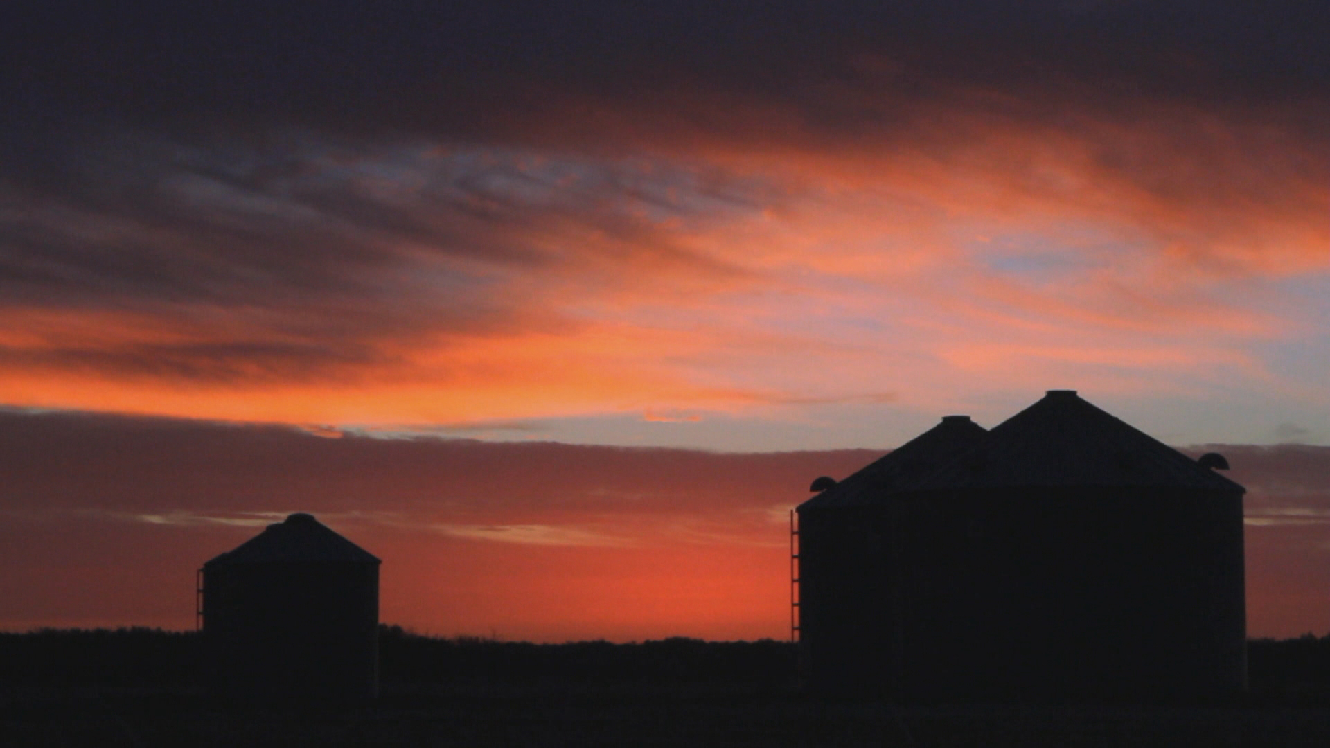 Watch The Flush | Prime Video