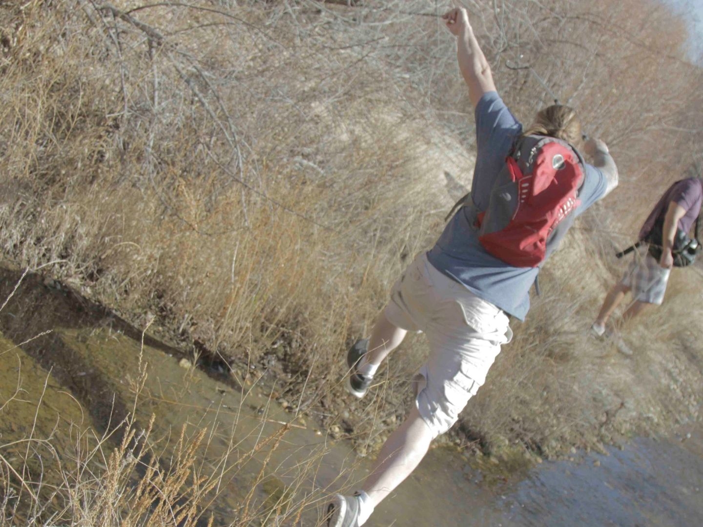 Prime Video: Venom Hunters - Season 1