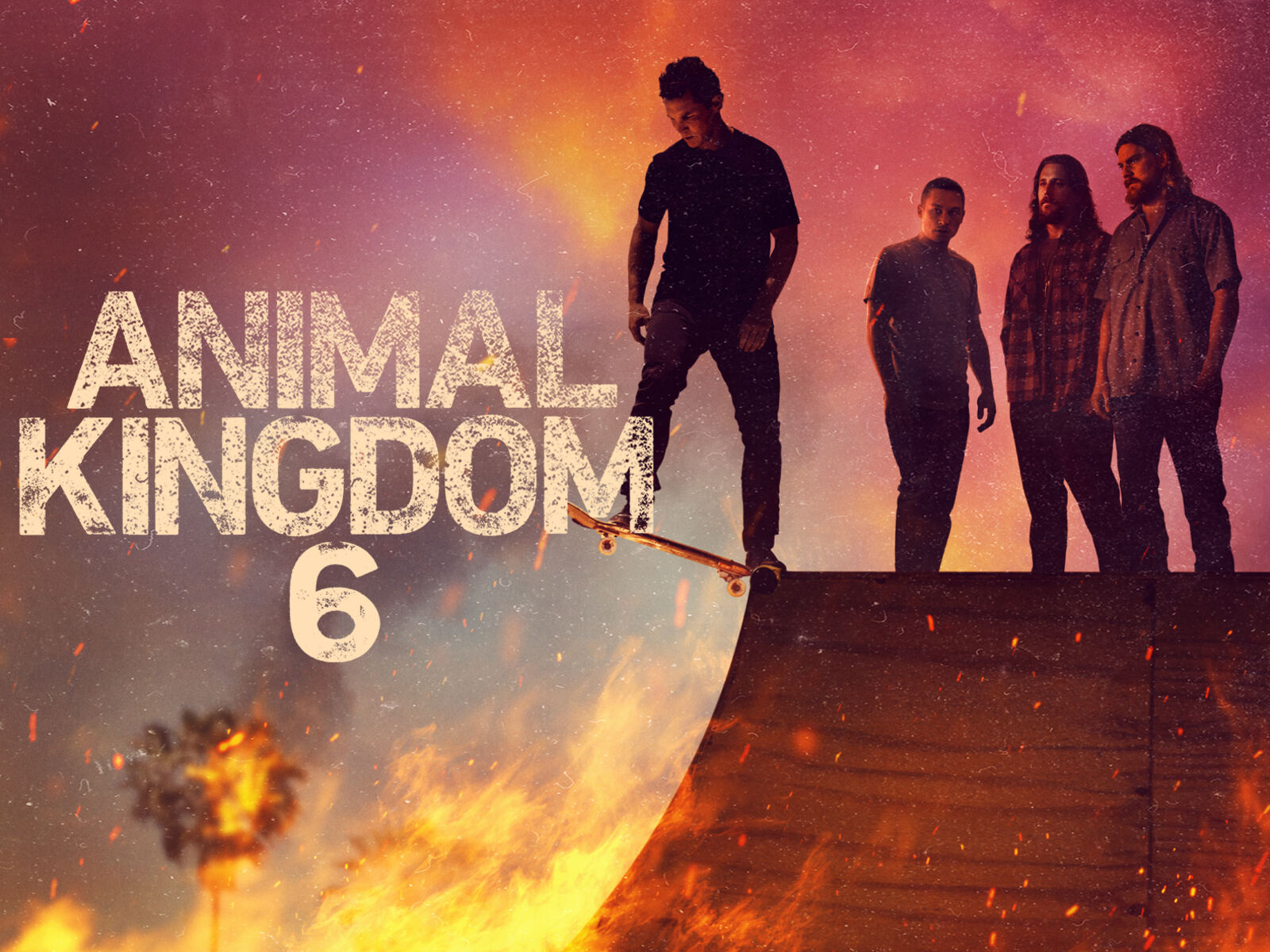 Prime Video: Animal Kingdom