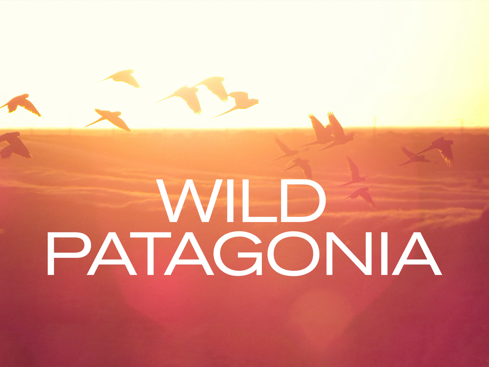 Prime Video: Wild Patagonia - Season 1