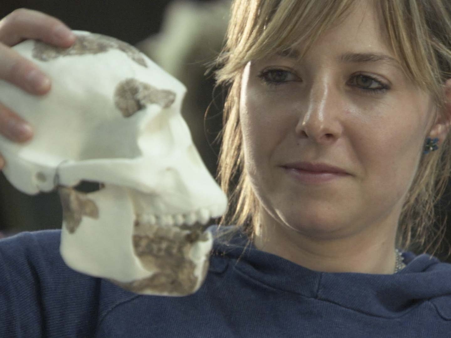 Prime Video: Prehistoric Autopsy - Season 1