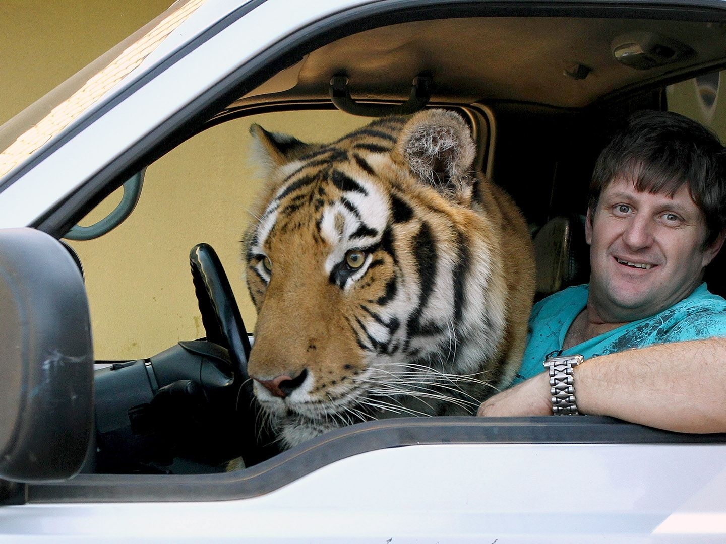 Prime Video: Preposterous Pets - Season 1