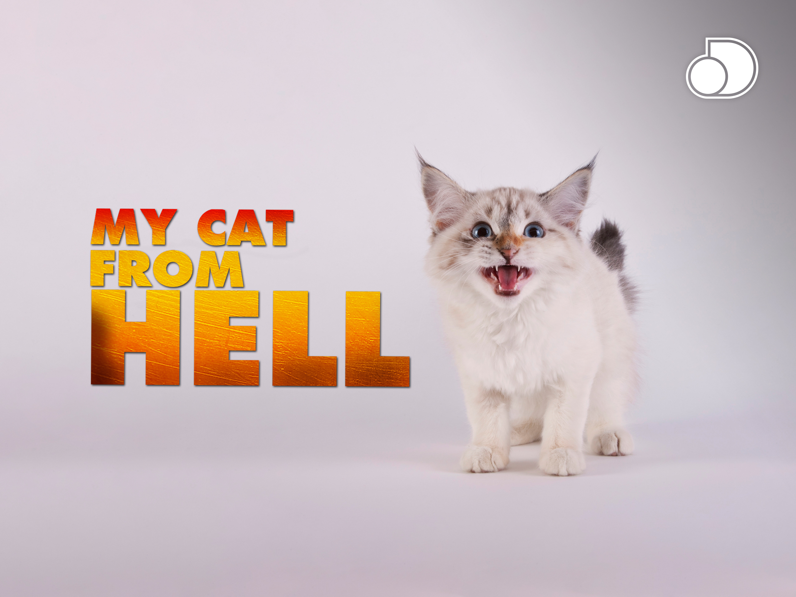 Prime Video: My Cat From Hell - Season 4