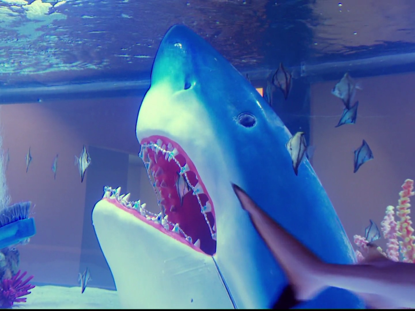 Prime Video: Tanked - Season 2