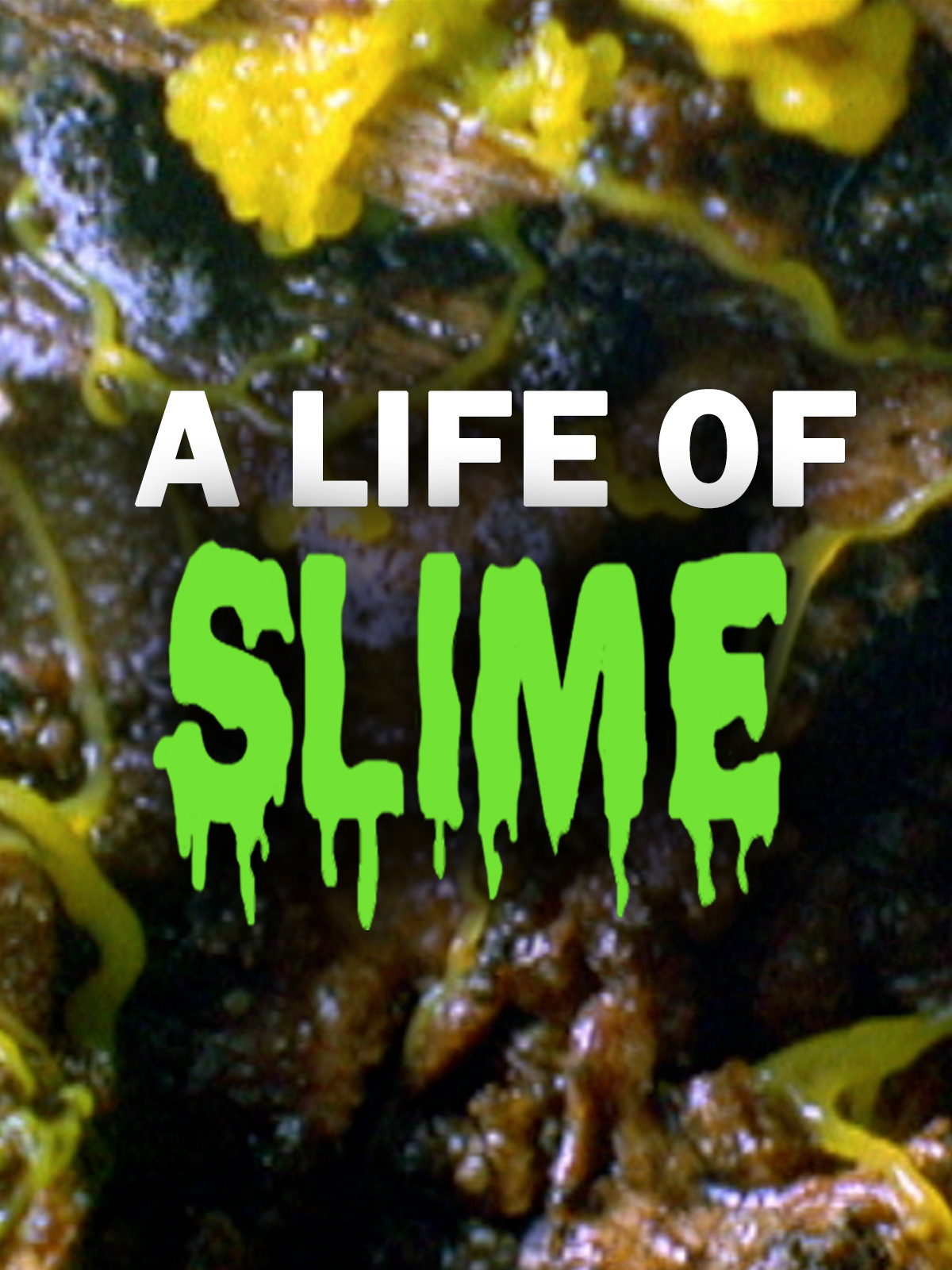 Prime Video: A Life of Slime