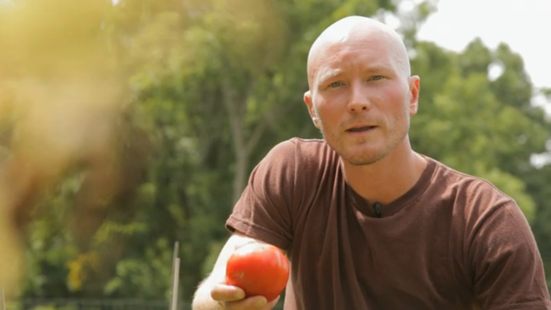 Prime Video: The Farm