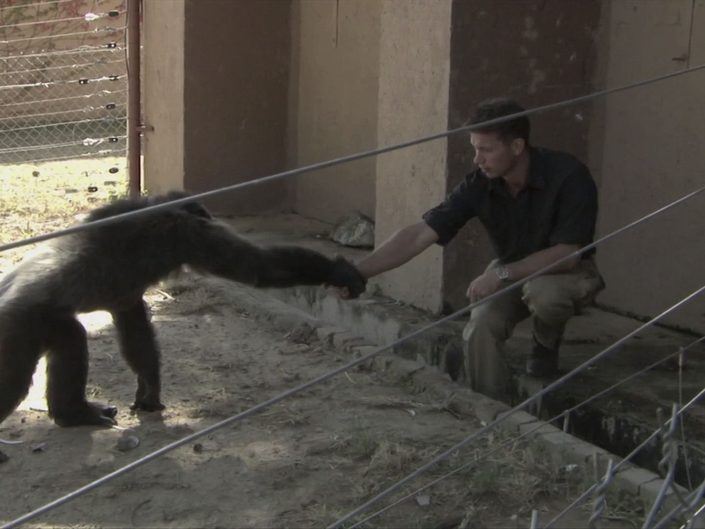 Prime Video: Escape to Chimp Eden - Season 1