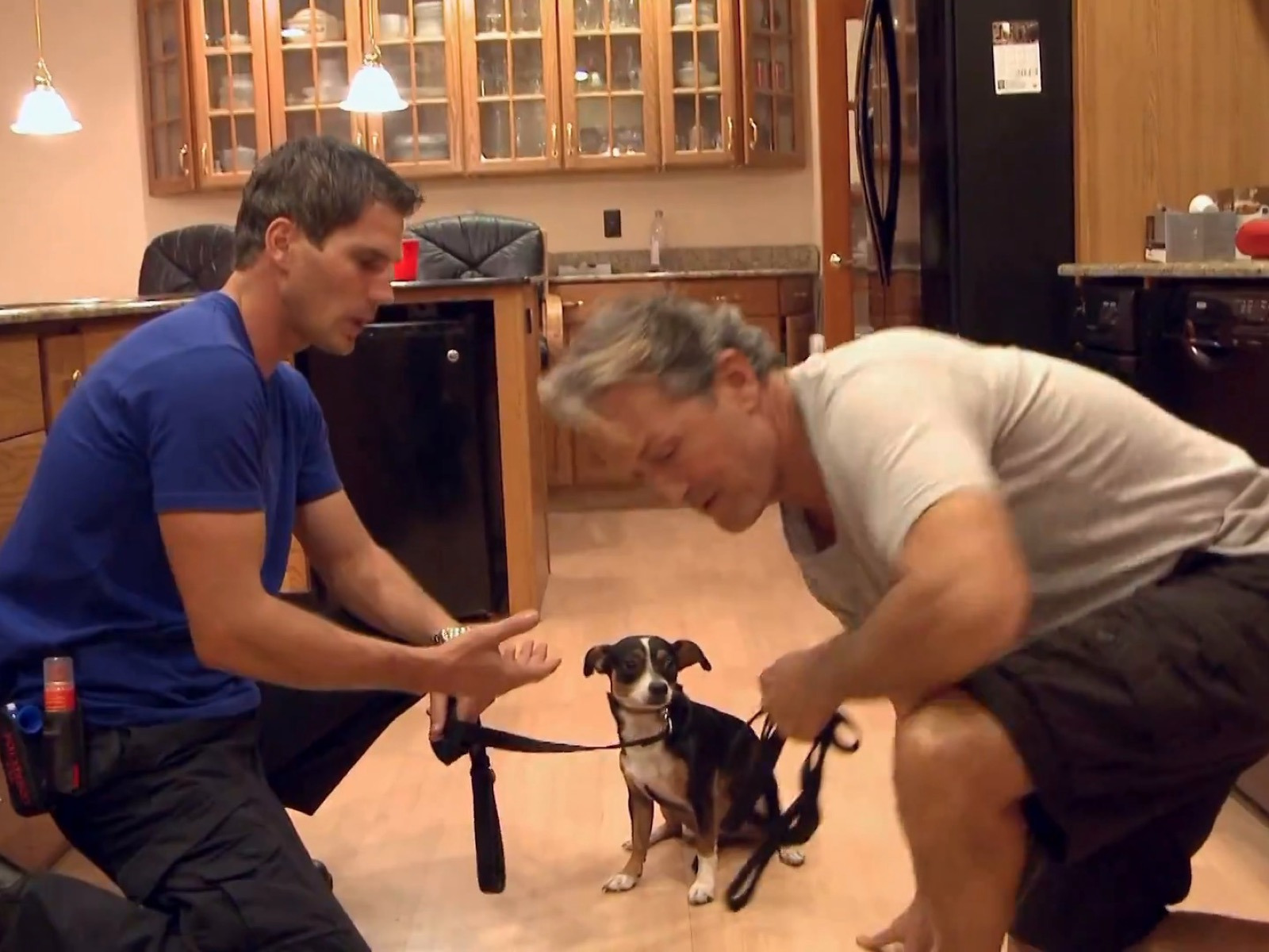 Prime Video: Dog Tales: Tibor to the Rescue