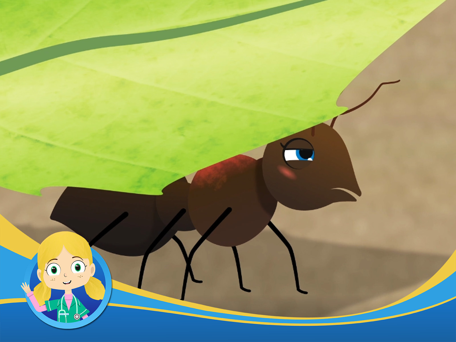 Prime Video: Dr. Poppy's Animal Rescue