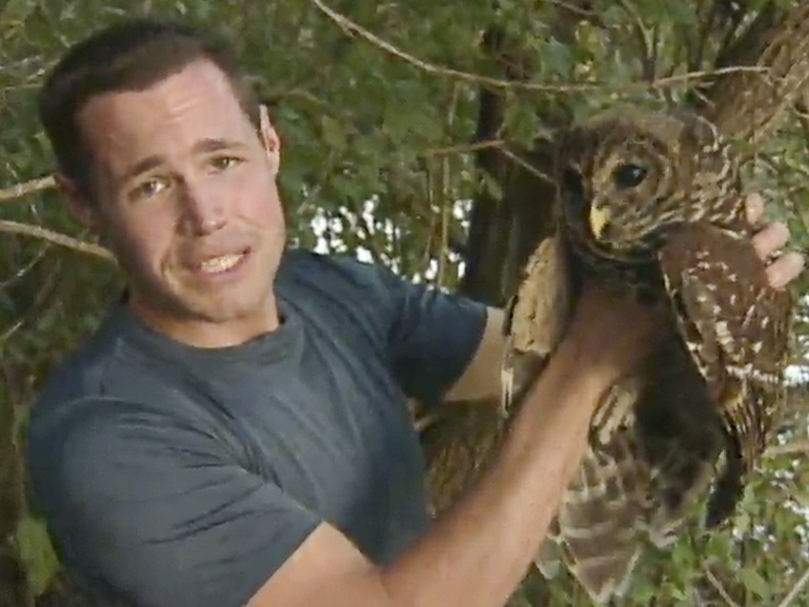 Prime Video: The Jeff Corwin Experience - Season 1