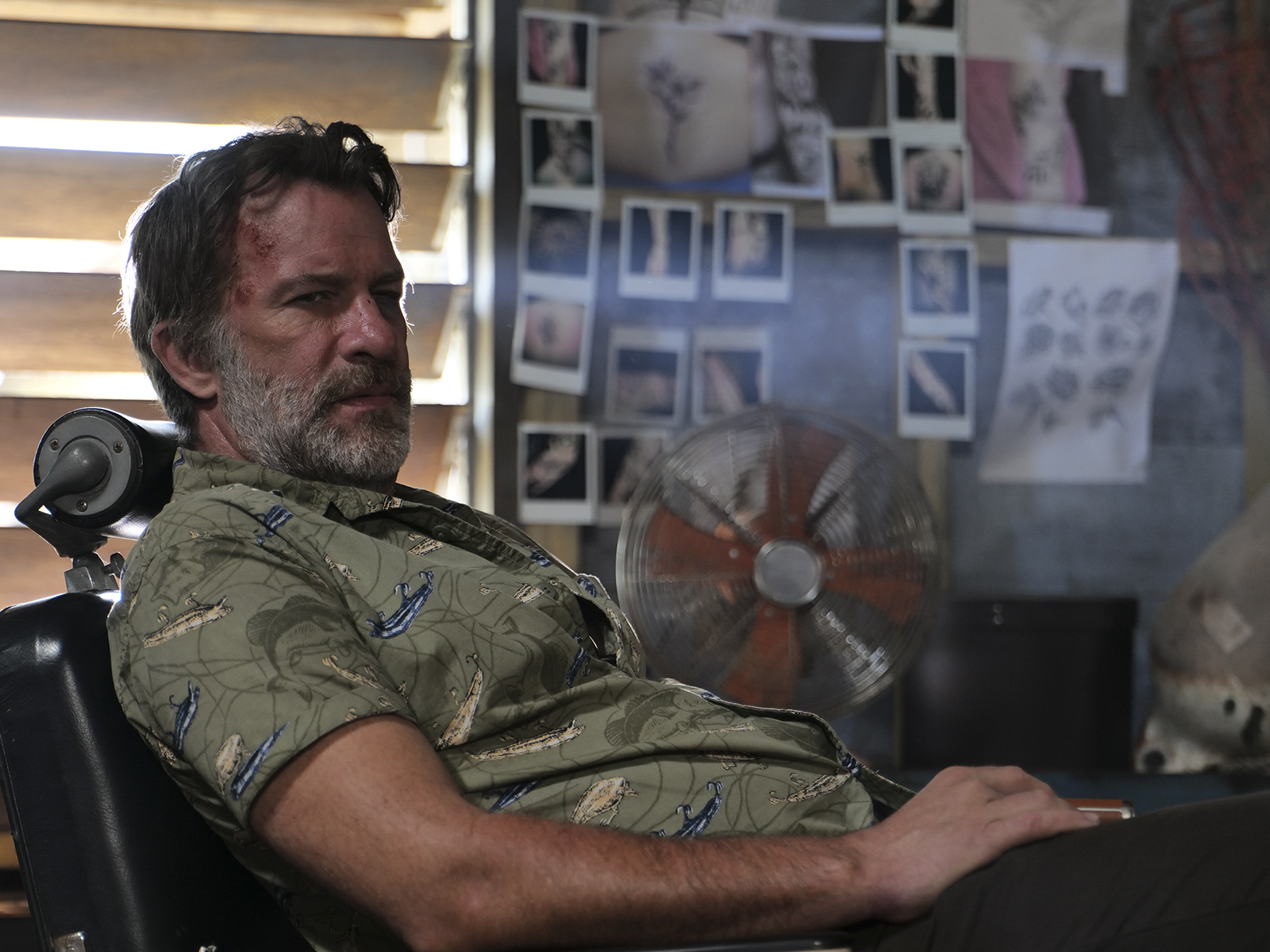 Prime Video: Troppo Season 1