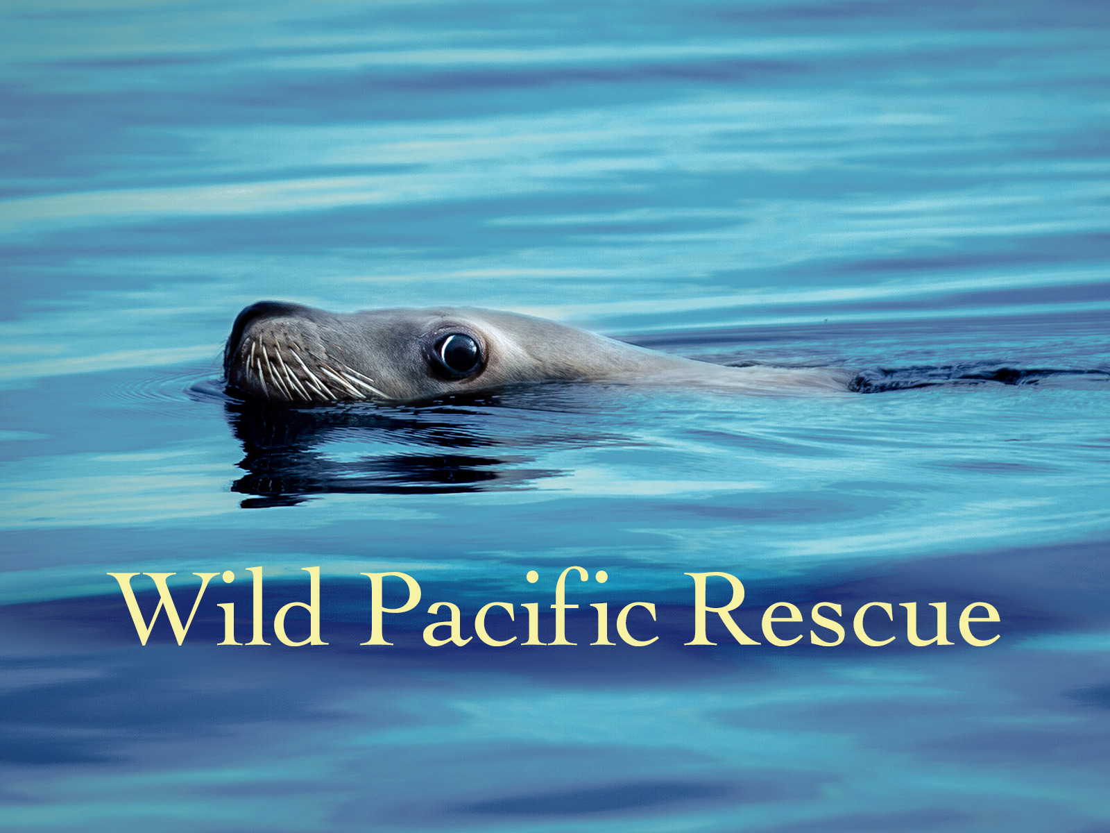 Prime Video: Wild Pacific Rescue - Season 1