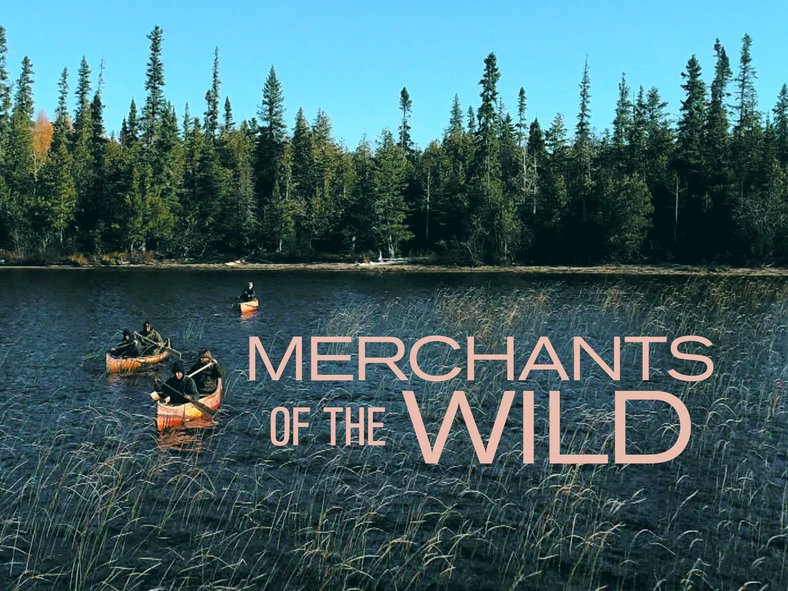 Prime Video: Merchants of the Wild - Season 1