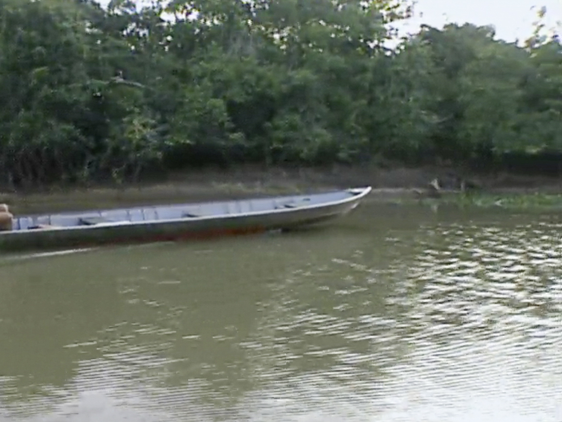 Prime Video: The Jeff Corwin Experience - Season 1