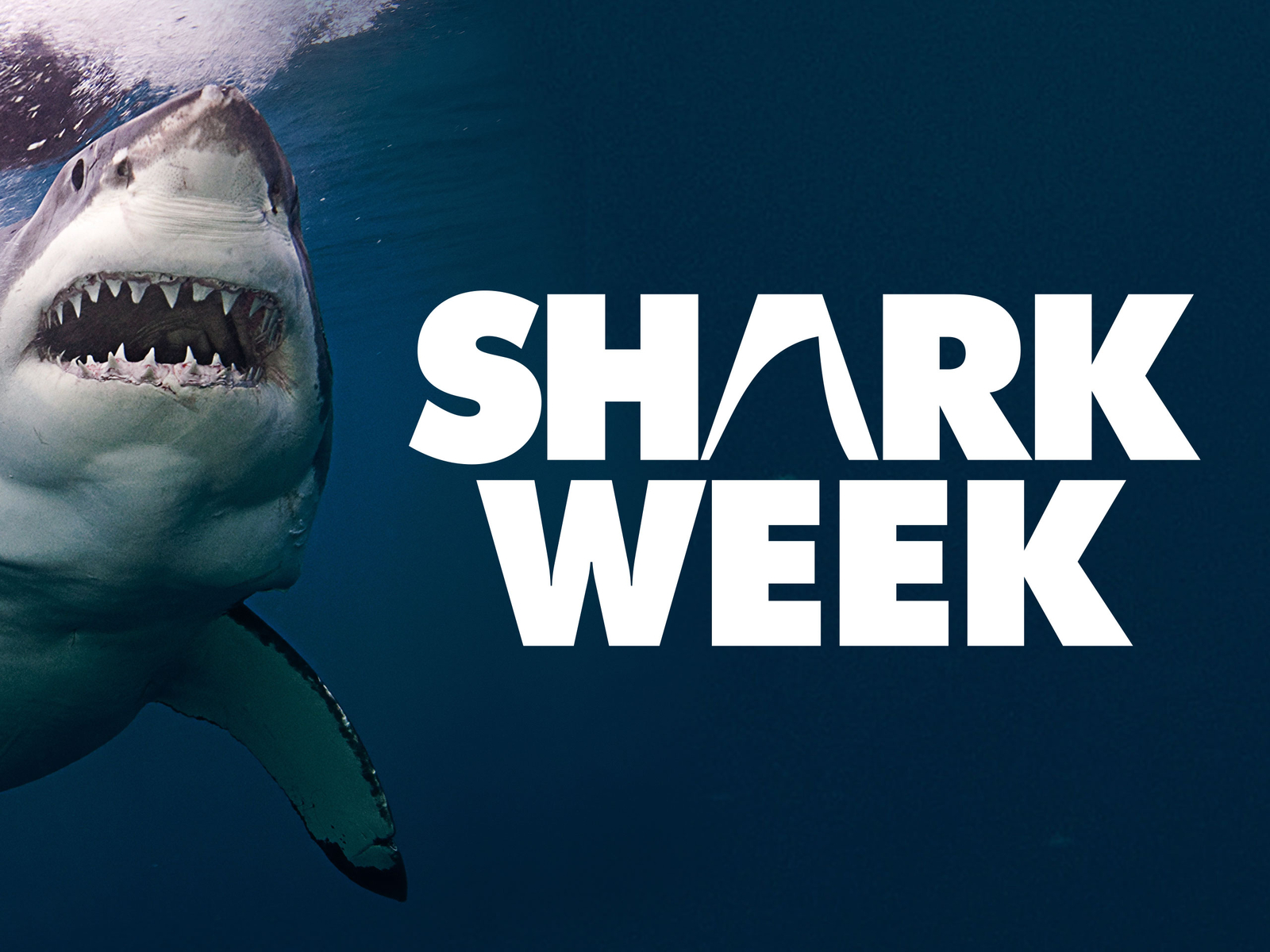 Prime Video: Shark Week - Season 2011