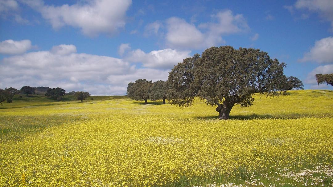 Watch Spring - The Return of Life | Prime Video