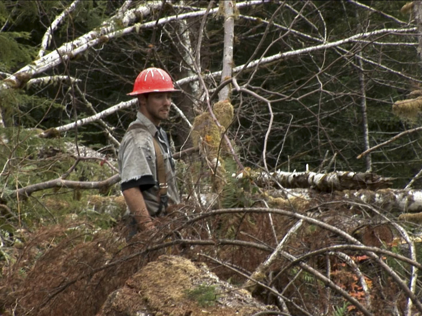 Prime Video: Ax Men - Season 1