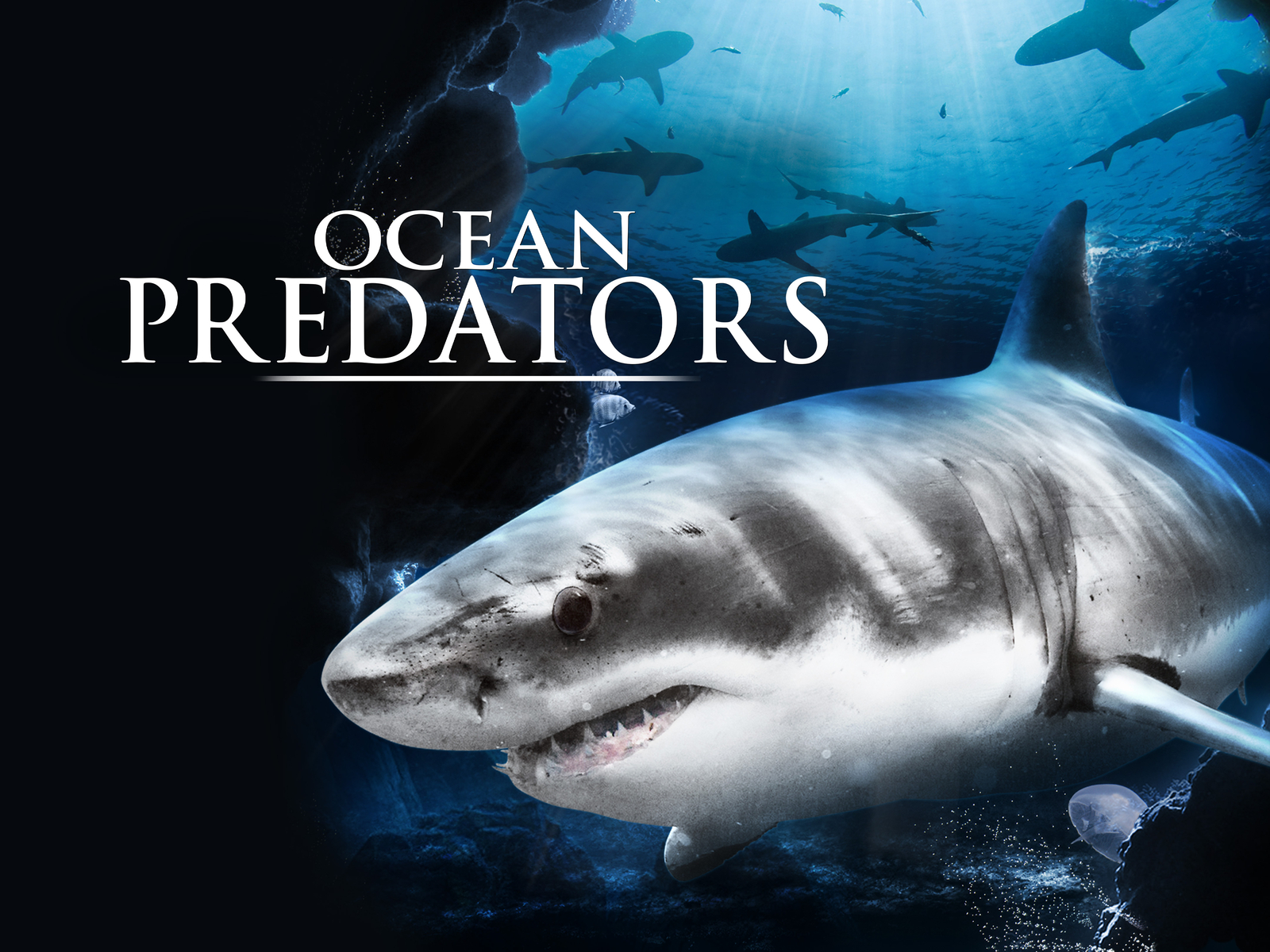 Prime Video: Ocean Predators - Season 1