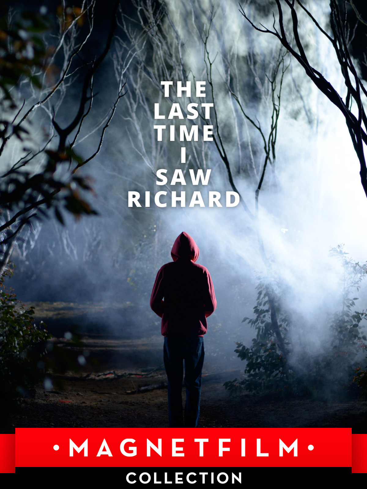 Prime Video: The Last Time I Saw Richard