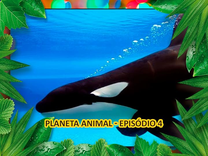 Prime Video: Planeta Animal - Volume 1