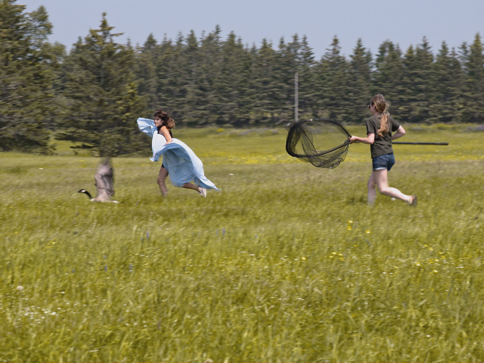 Prime Video: Hope for Wildlife