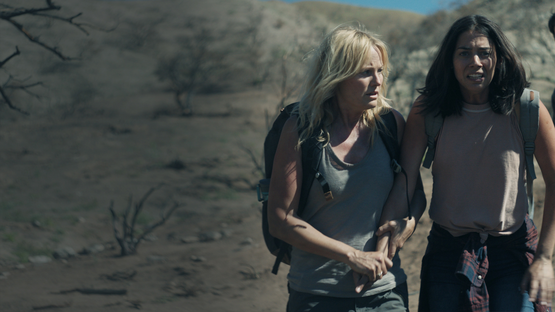 Prime Video: The Aviary