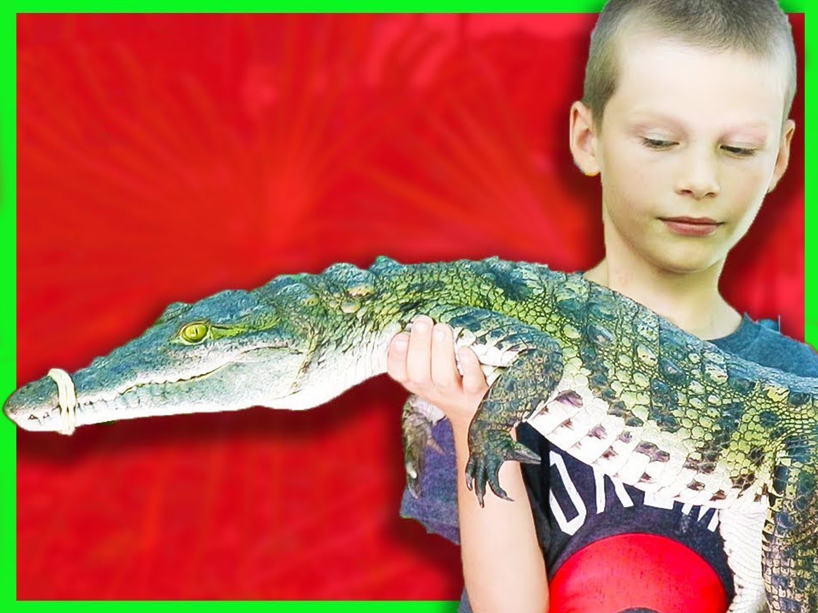 Prime Video: Axel Show - Adventure Videos For Kids