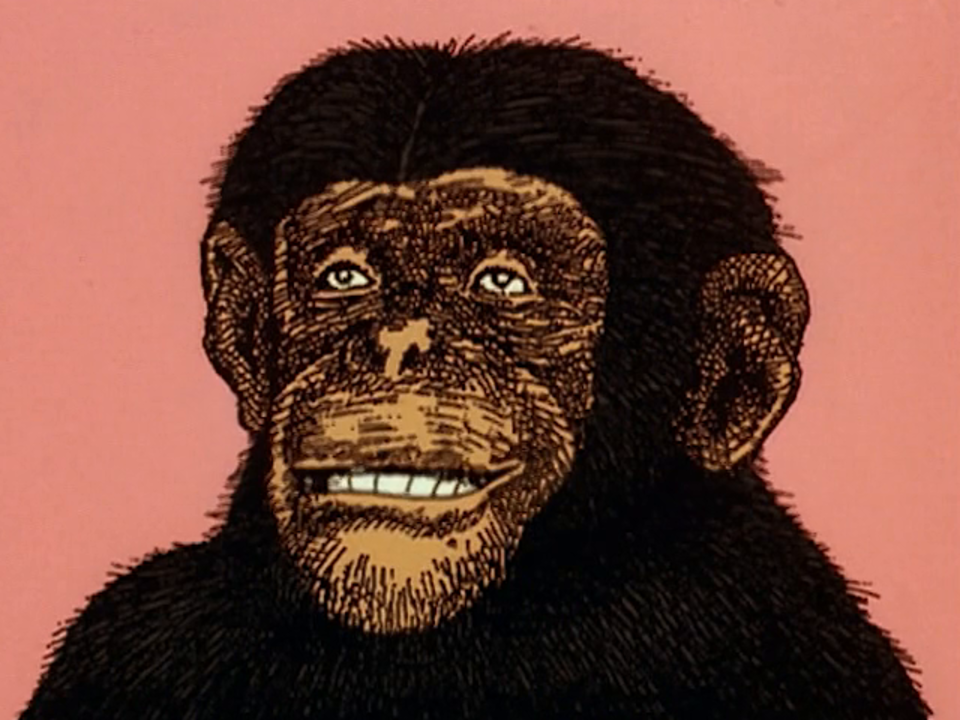 Prime Video: The Powerpuff Girls - Season 1