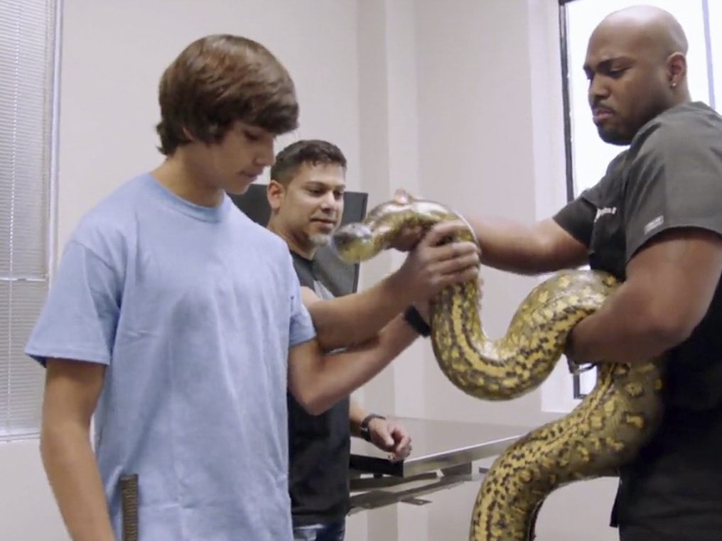 Prime Video: The Vet Life - Season 1