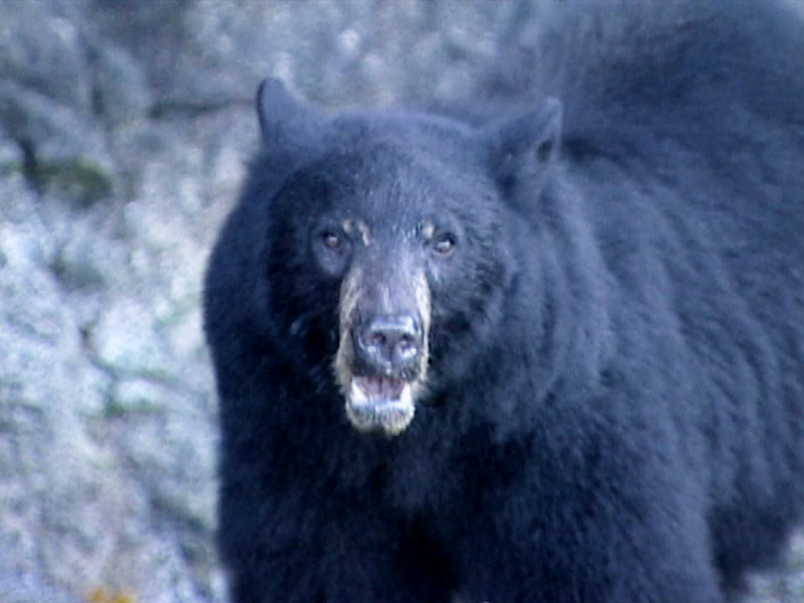 Prime Video: Clip: Inside Sportfishing- On The Edge