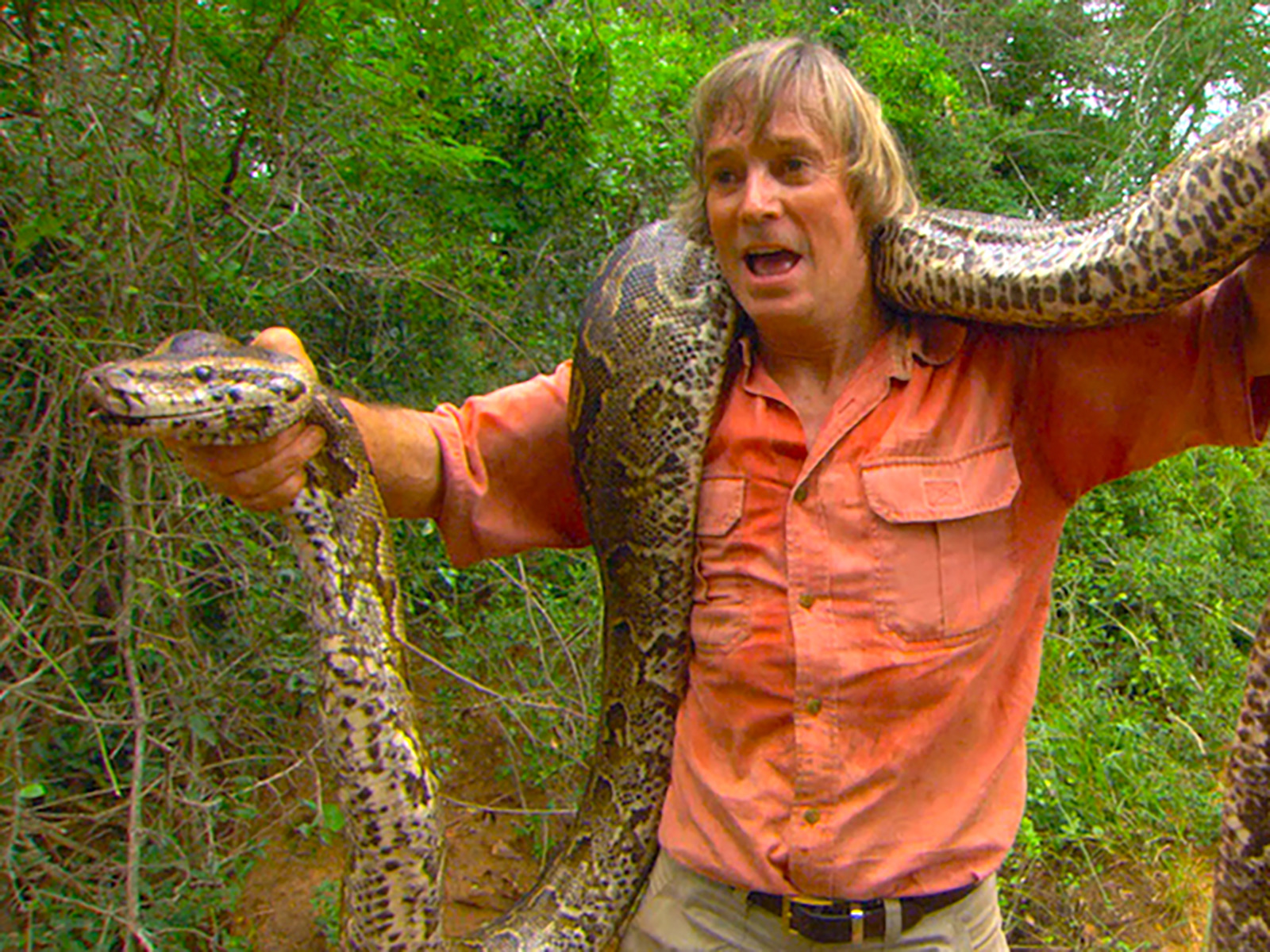 Prime Video: Austin Stevens Adventures