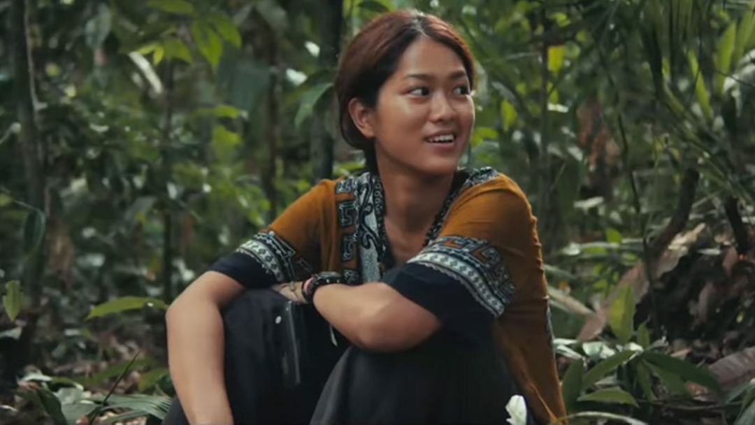 Prime Video: Sokola Rimba