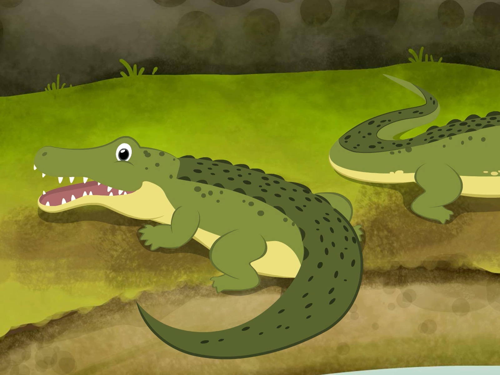 Prime Video: Knowsy Nina