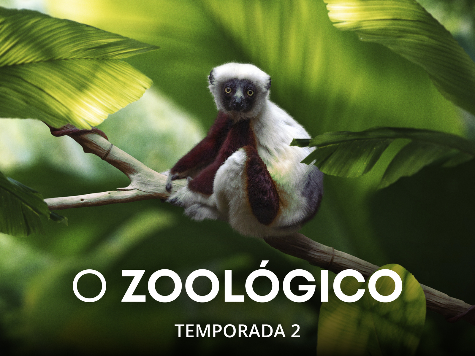 Prime Video: The Zoo - Season 2