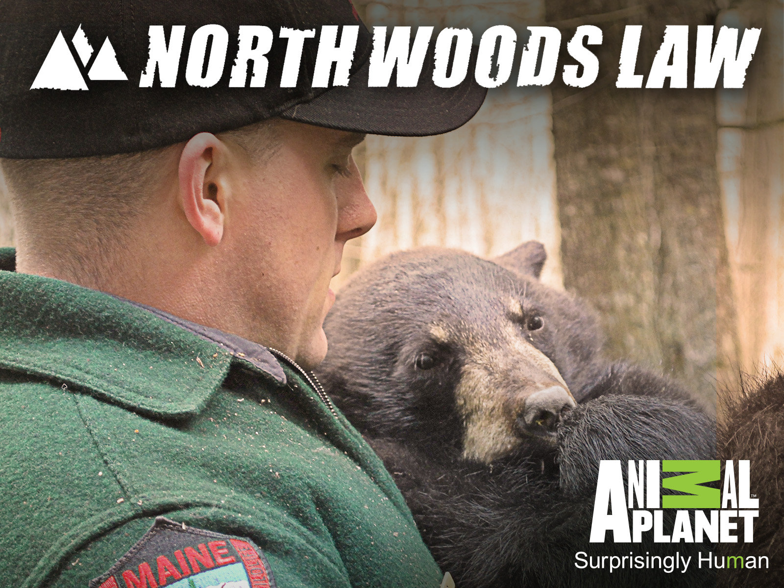 Prime Video: North Woods Law Season 1
