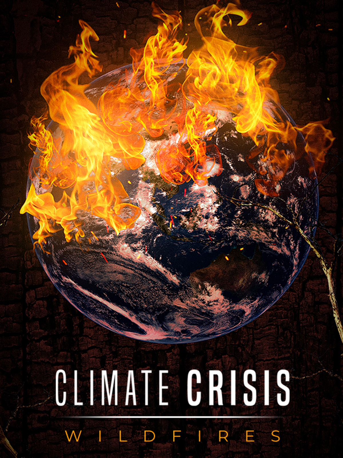 Prime Video: Climate Crisis: Wildfires