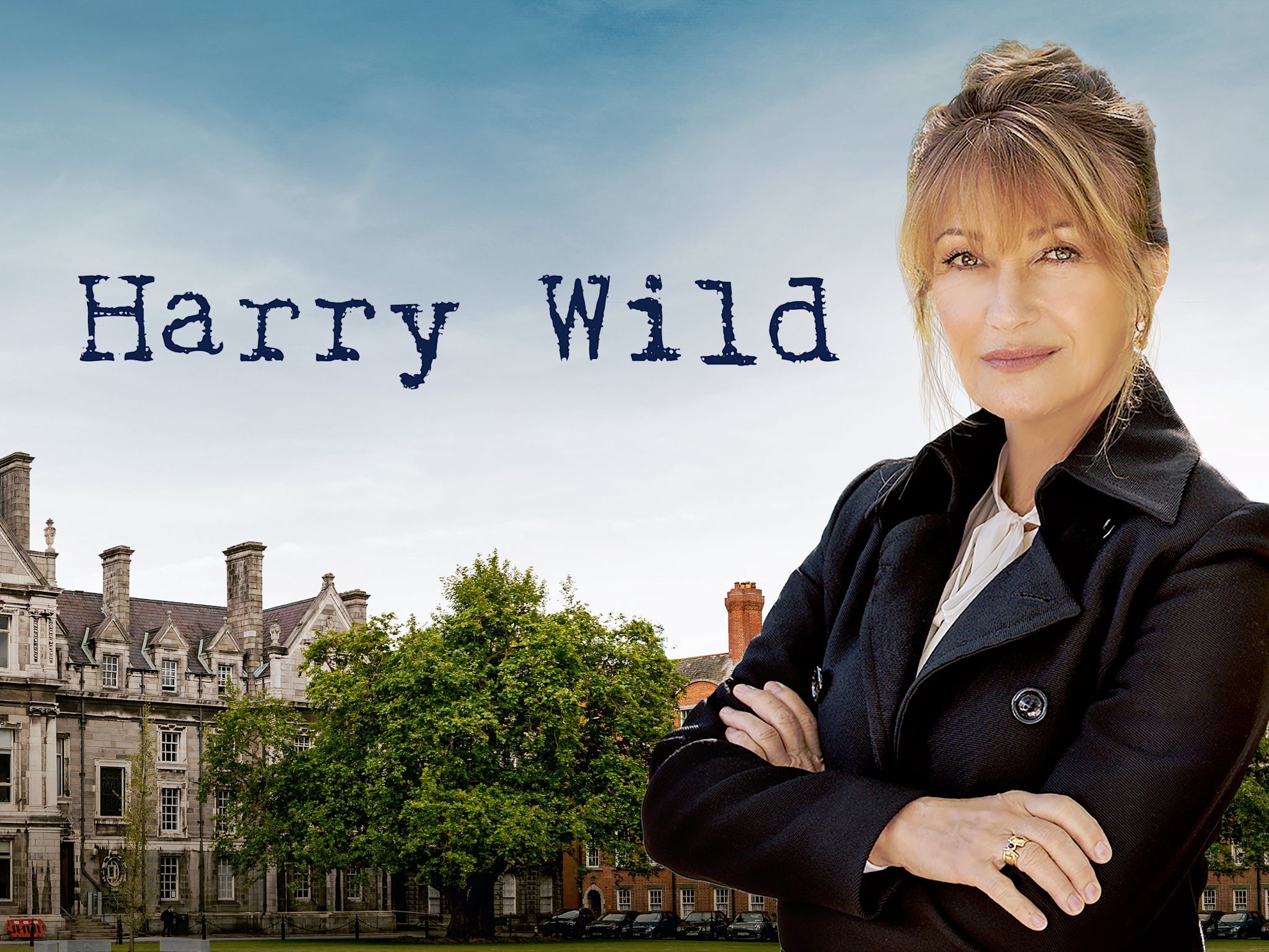 Prime Video: Harry Wild - Season 1