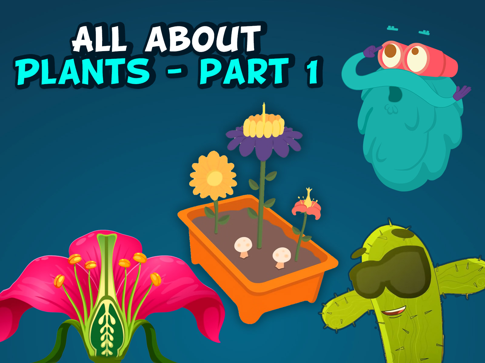 Prime Video: Learn With Dr. Binocs
