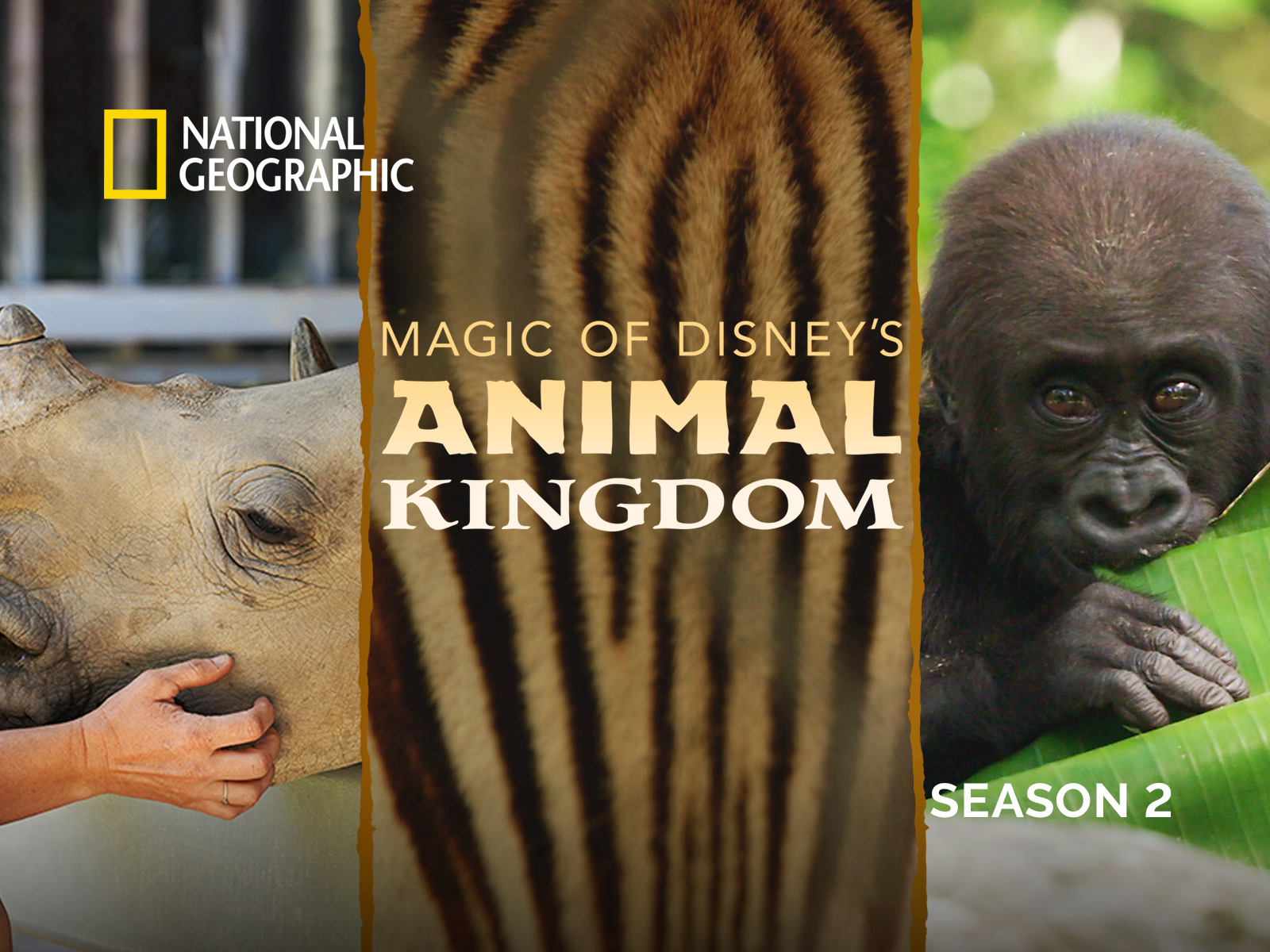 Prime Video: Magic of Disney's Animal Kingdom - Season 2