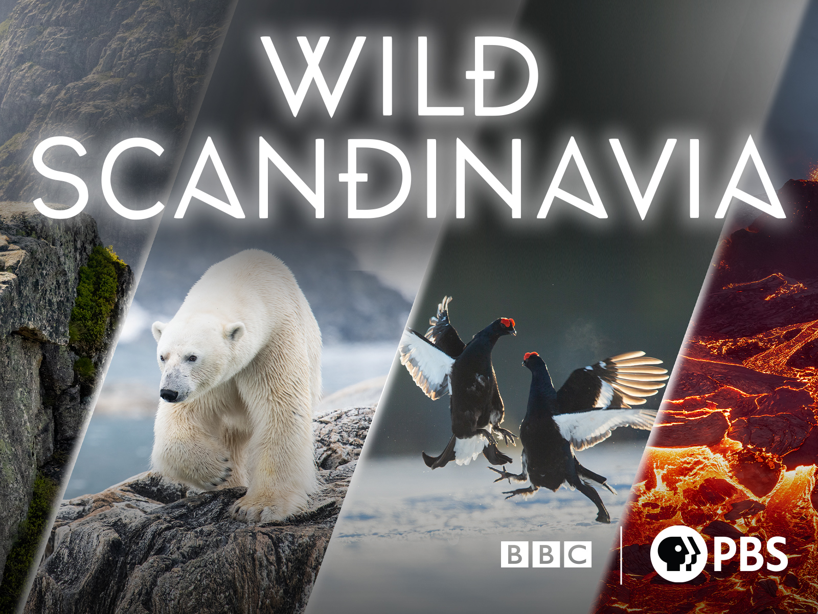 Prime Video: Wild Scandinavia, Season 1