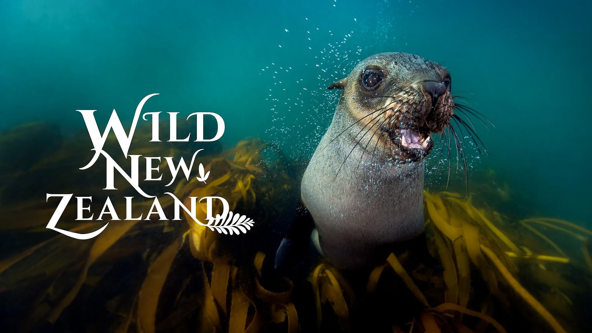 Watch Wild New Zealand Season 1 | Prime Video